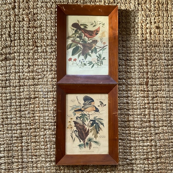 Art | Vintage Arthur Singer Bird Prints Framed Numbers 1 8 | Poshmark